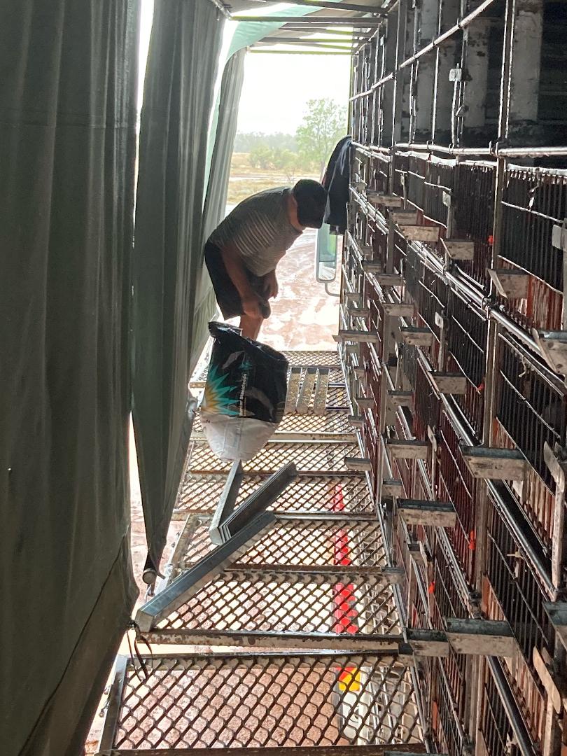 Central Cumberland Racing Pigeon Federation