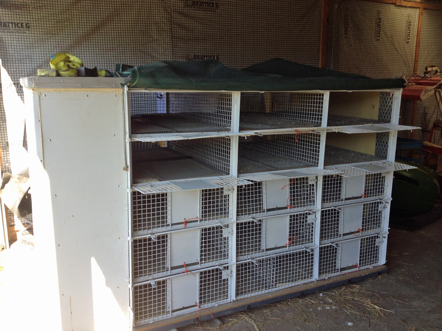 South Coast Pigeon Federation