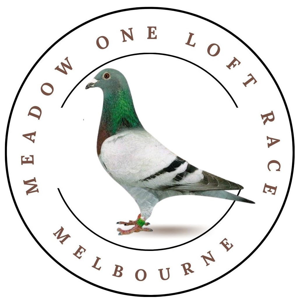 Victorian Racing Pigeon Union